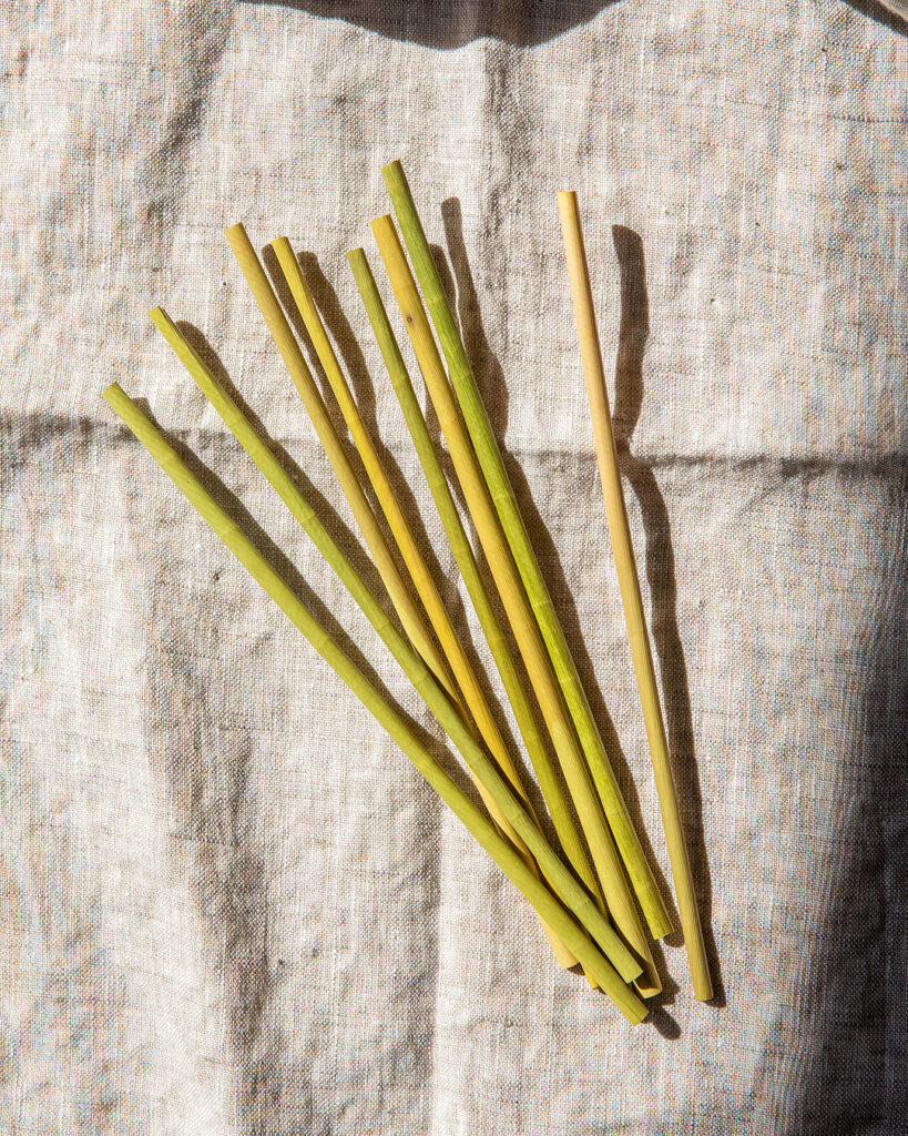 Straws – green elephant